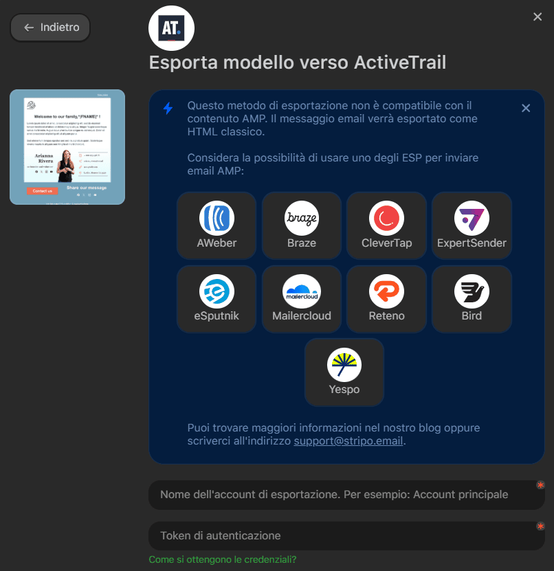 Opzioni di esportazione su Stripo dalla A alla Z — Stripo.email