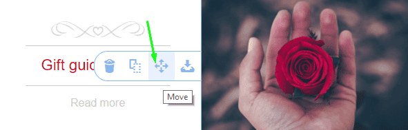 How to build an email with Stripo. Manual A to Z — Stripo.email