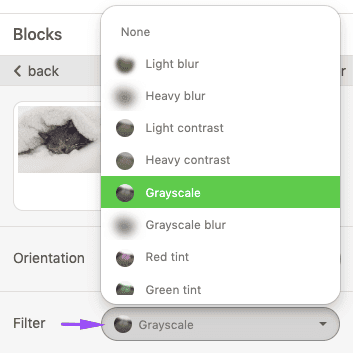 10 Great Examples of Black and White Emails — Stripo.email
