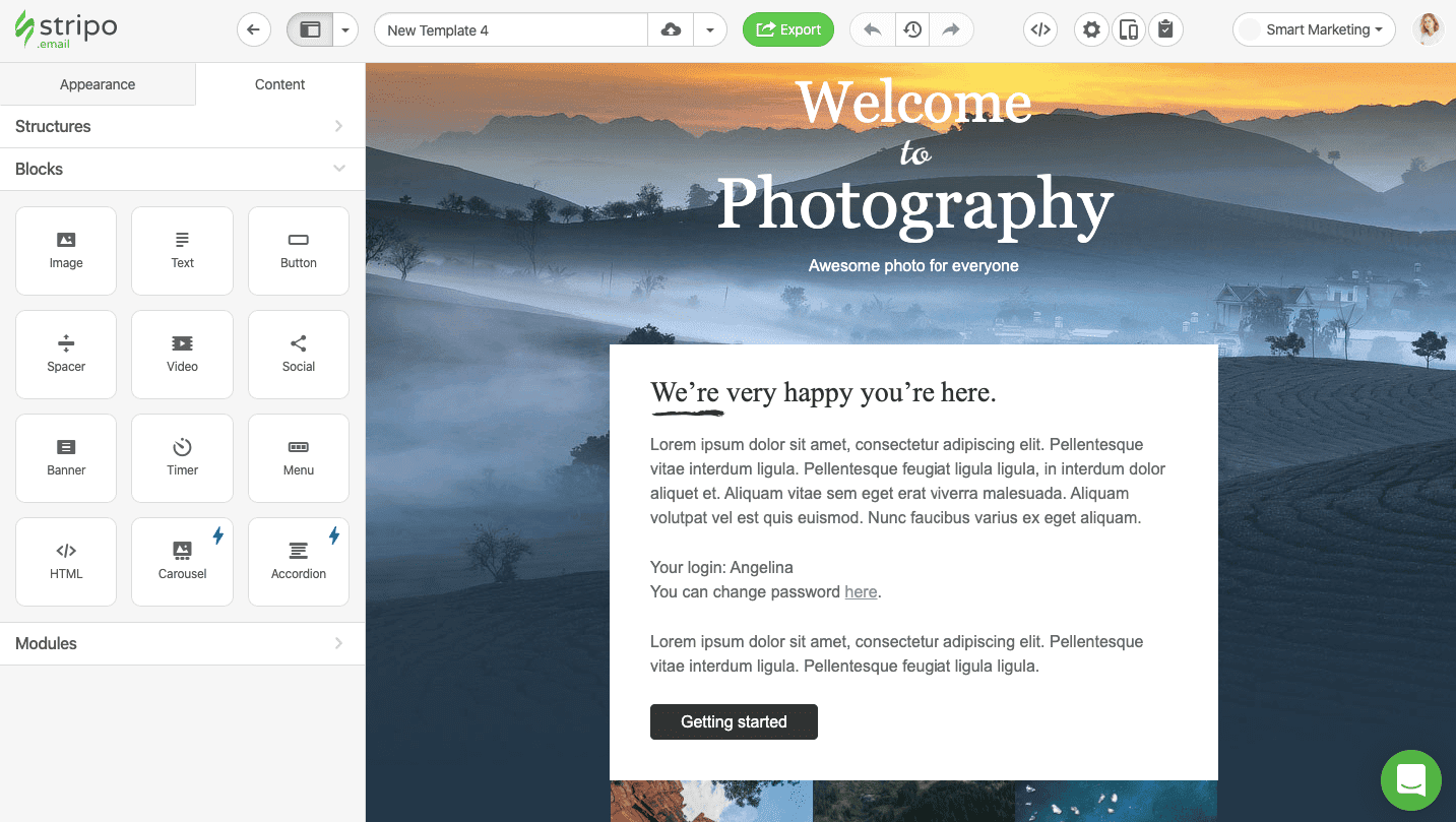 10 Great Examples of Black and White Emails — Stripo.email
