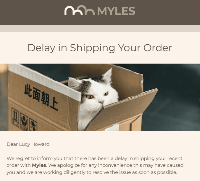 10 best practices for post-purchase emails — Stripo.email