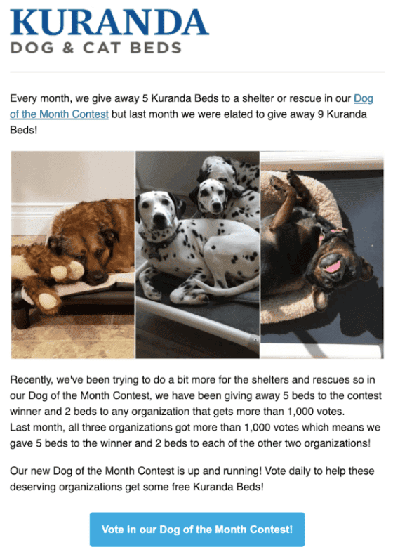 How to write a winner announcement email — Stripo.email