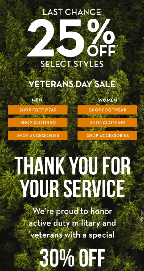 Veterans Day Company Email: Tips and Email Design Ideas — Stripo.email