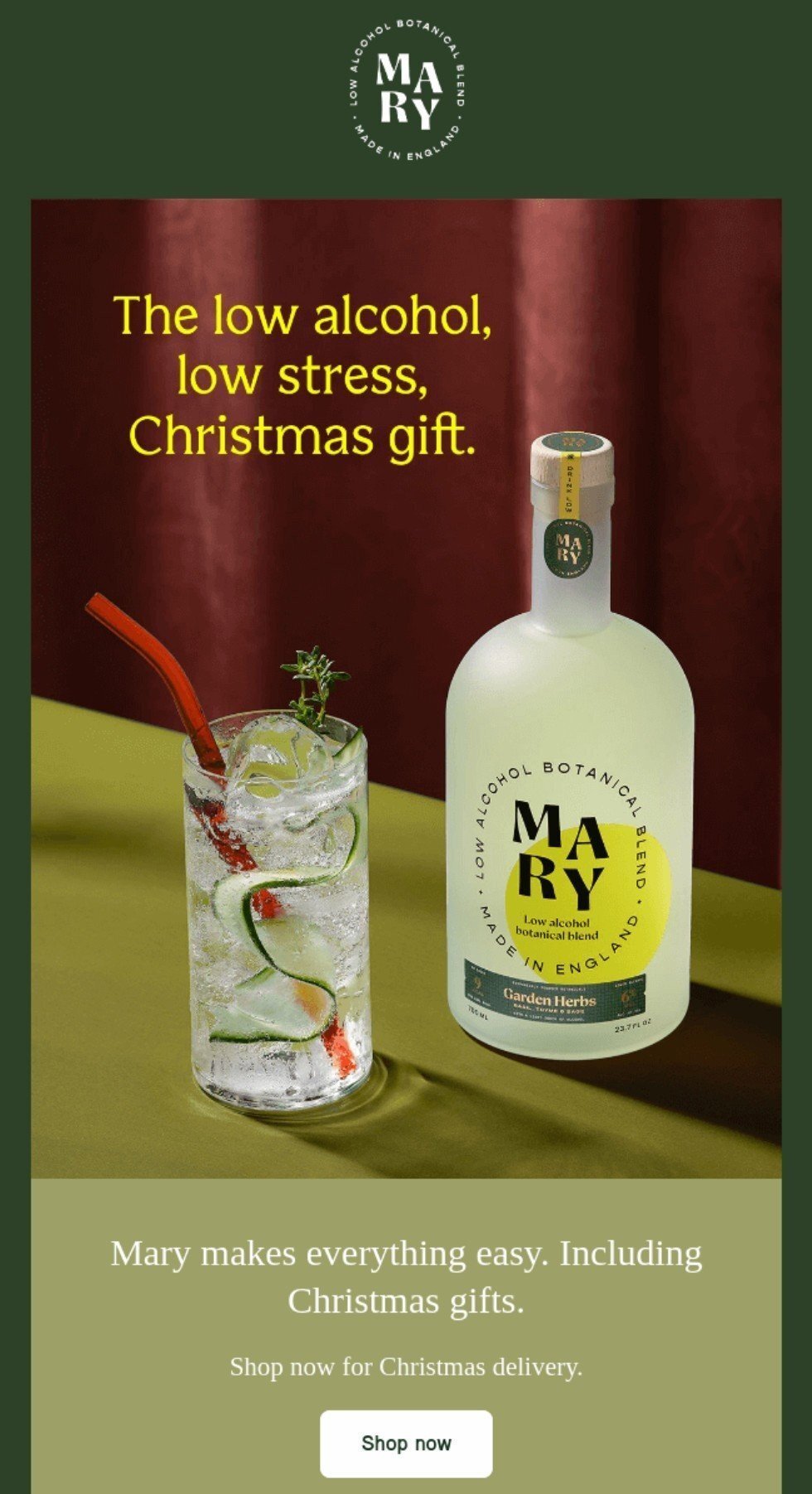 Examples of Christmas email newsletters — Stripo.email