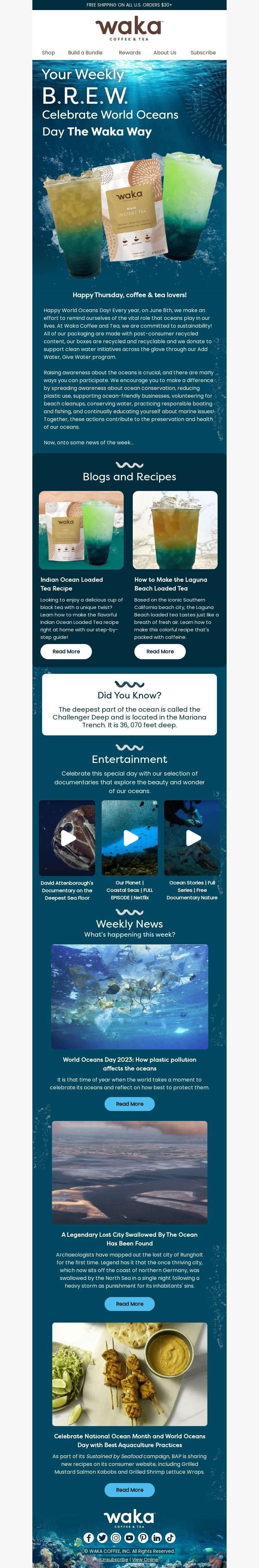 Case study: How a leading email design agency improved email ...