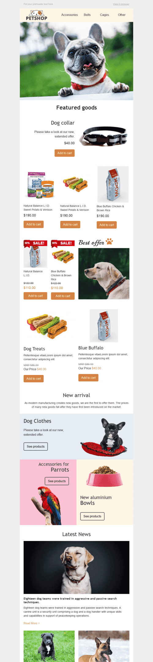 12 Dog Day Email Templates 📭 | Free Dog Day HTML Email Template ...