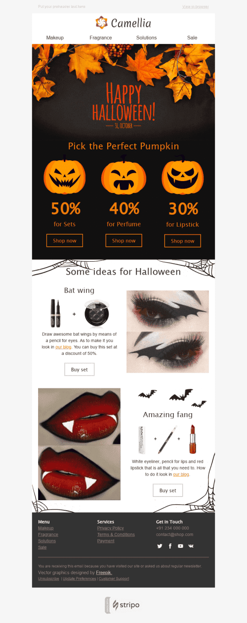 Awful Pretty Make-up Email Template by Stripo.email