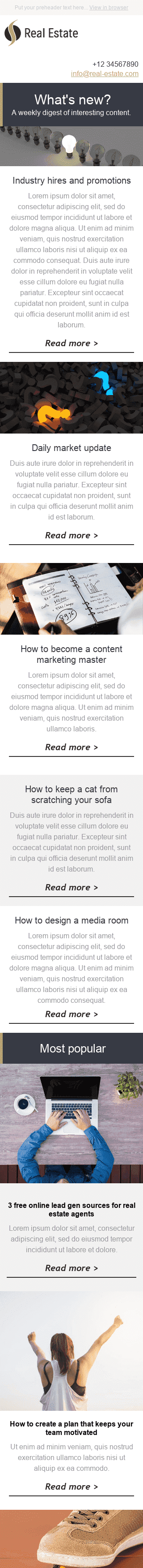 Weekly Digest Email Template by :full_name — Stripo.email