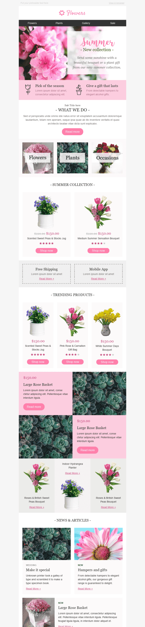 17 Summer Email Templates 📭 | Free Summer HTML Email Template — Stripo ...