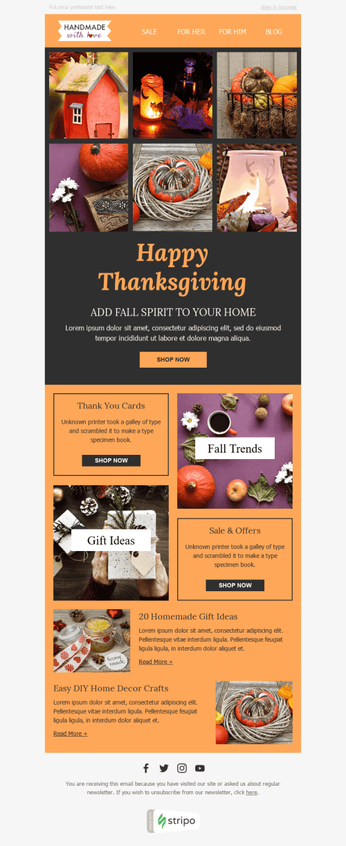 Email design ideas for Thanksgiving Day newsletters — Stripo.email