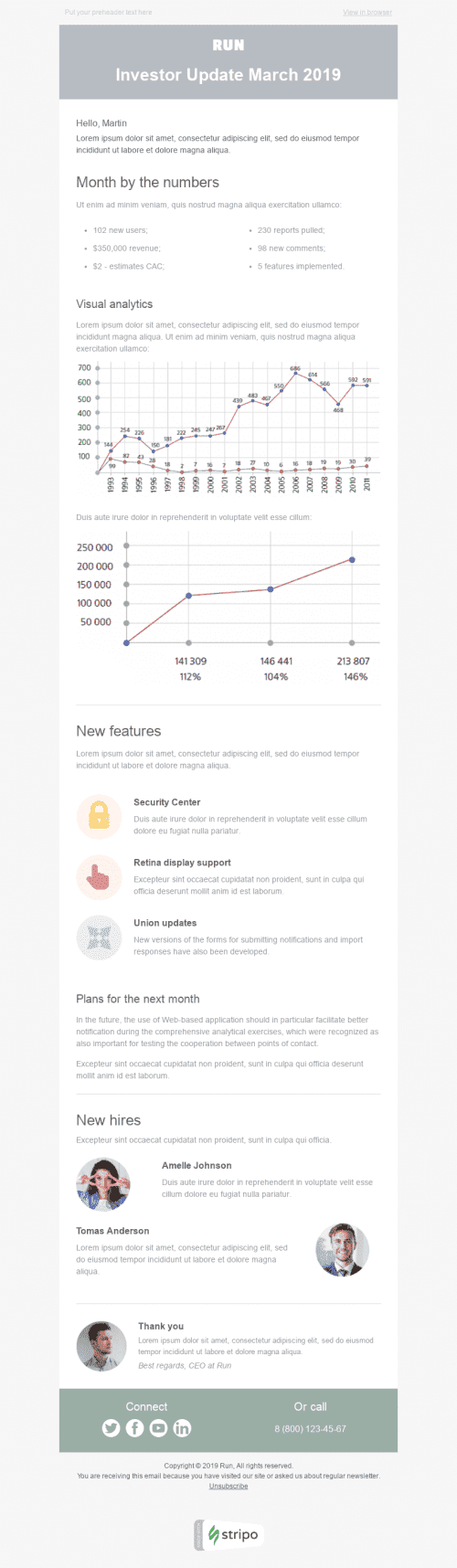 Investor Monthly Update Email Template by Stripo.email