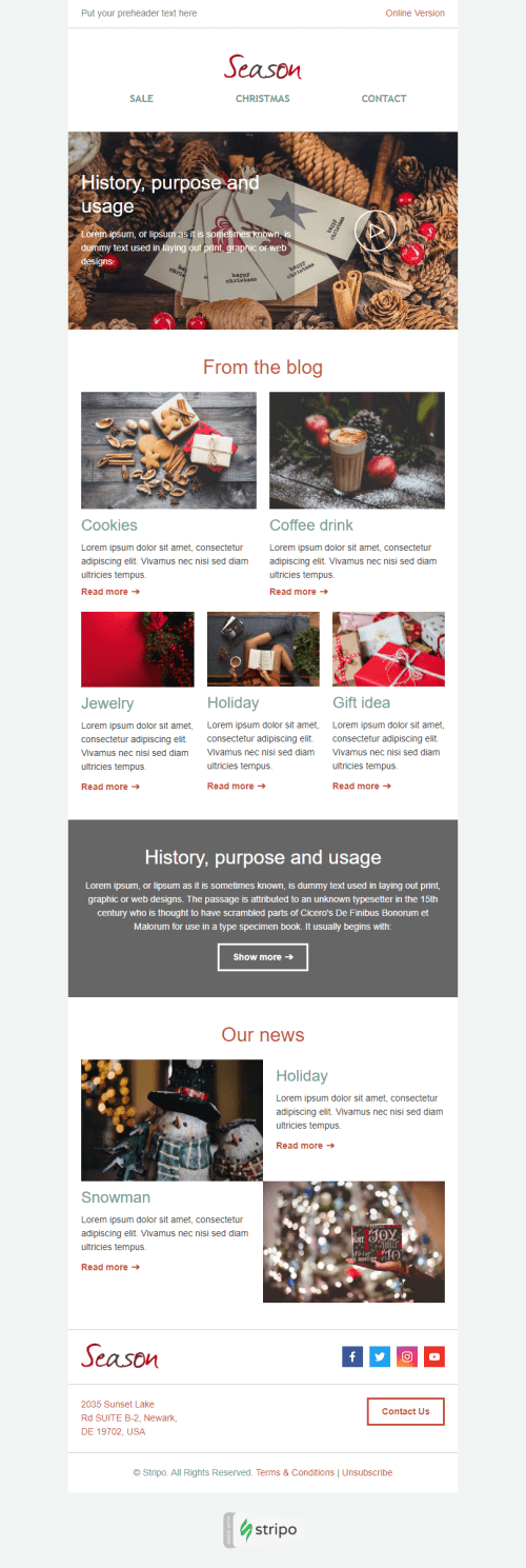 Seasonal Newsletter Email Template by Stripo.email