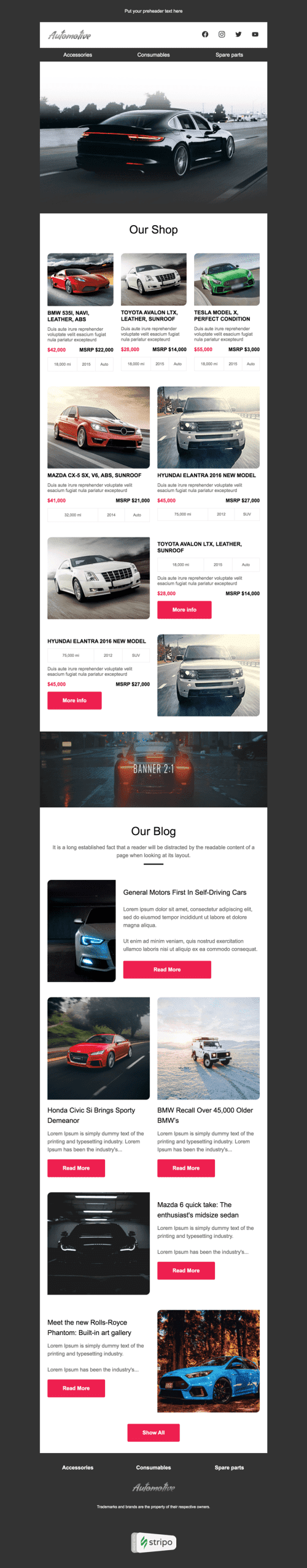 Long Road Email Template by Stripo.email