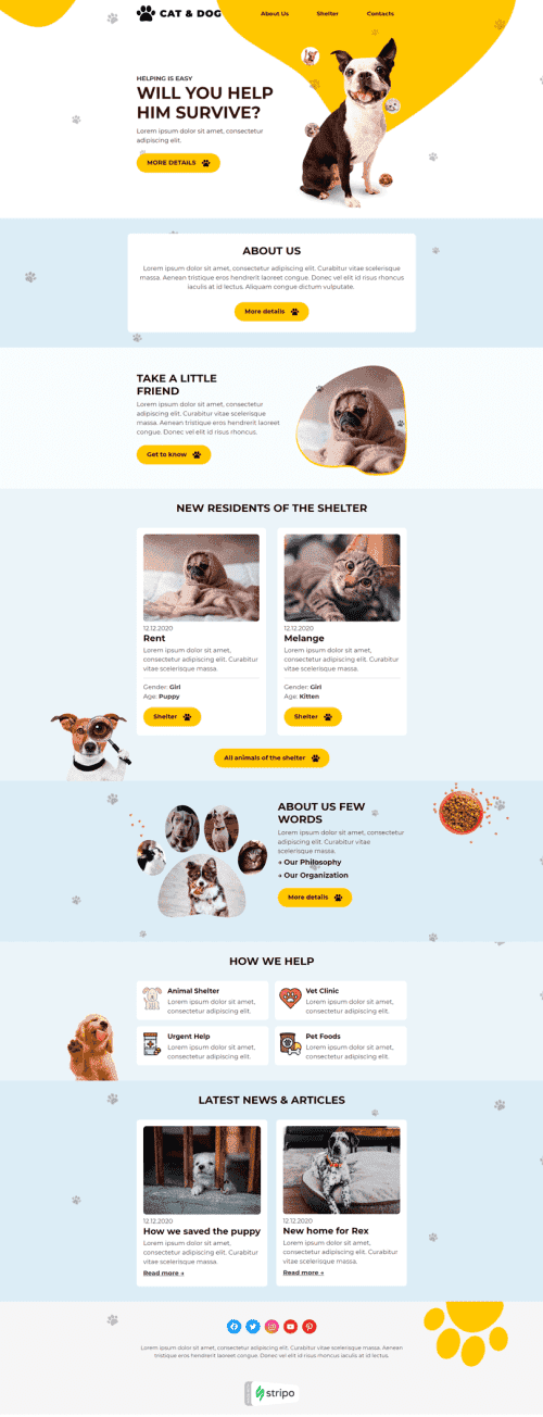 Cats and Dogs Email Template by Stripo.email