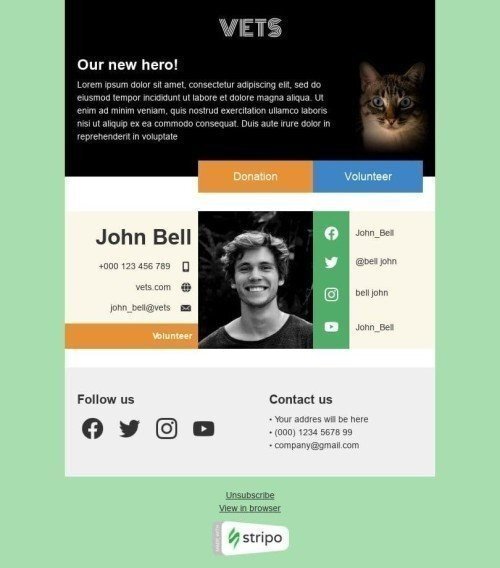 Our new hero Email Template by Stripo.email