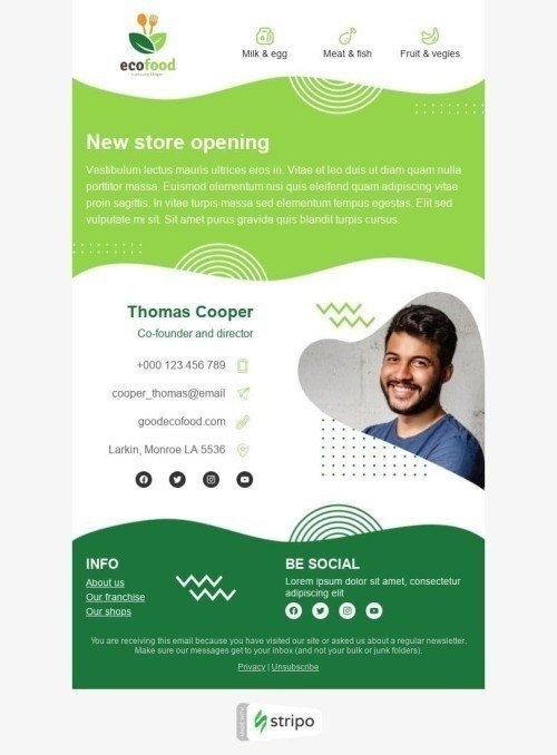 Store opening Email Template by Stripo.email