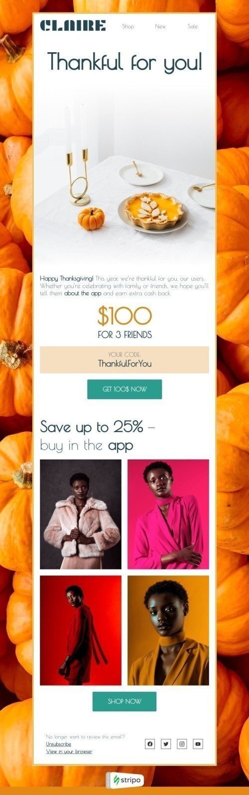Email design ideas for Thanksgiving Day newsletters — Stripo.email