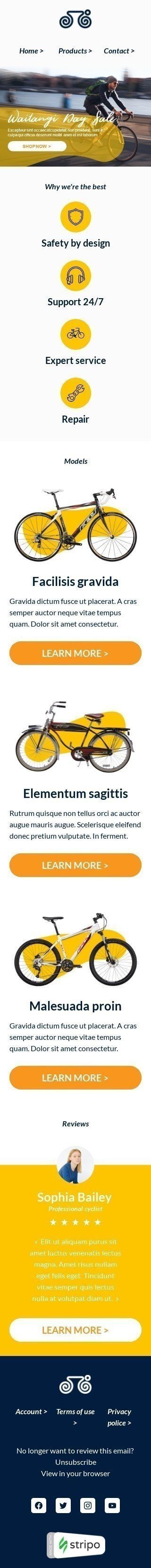 Expert service Email Template by Stripo.email