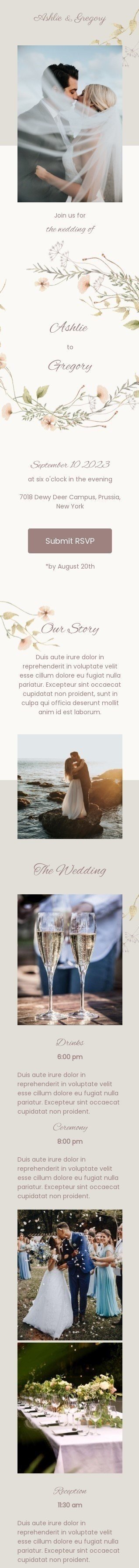 Join us for the wedding Email Template by Stripo.email