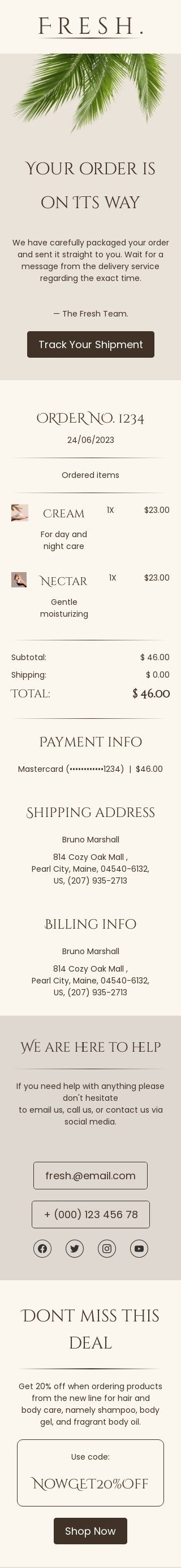 Track your shipment Email Template by Stripo.email