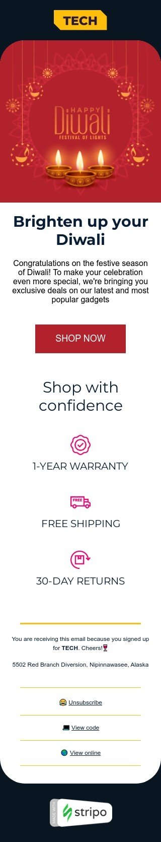 Festival of lights Email Template by Stripo.email