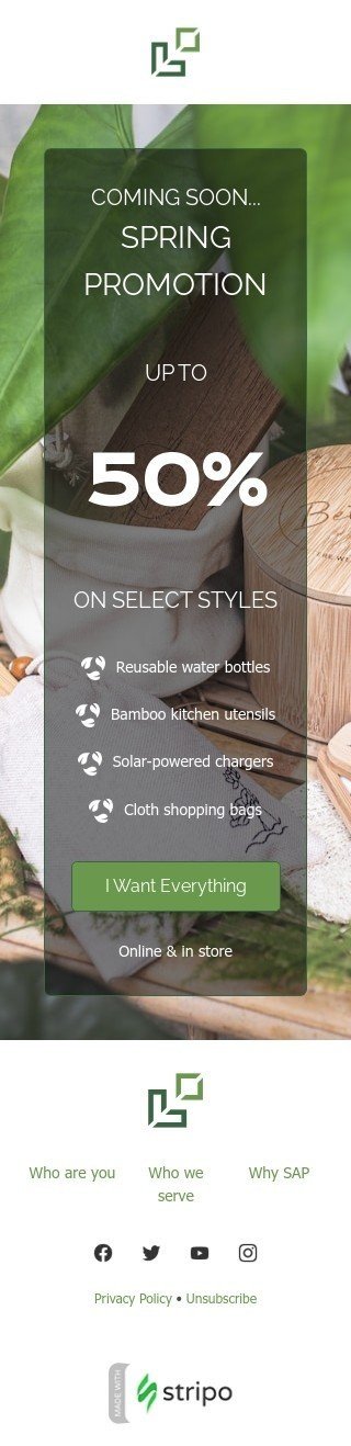 Spring promotion Email Template by Stripo.email