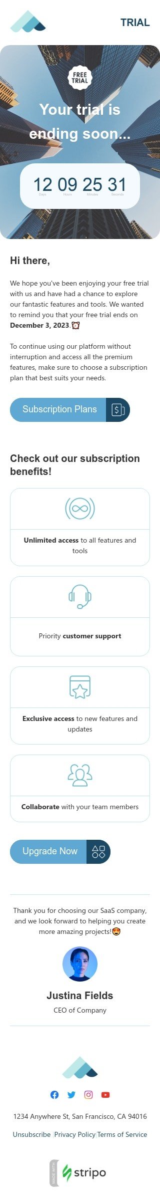 Your trial is ending soon Email Template by Stripo.email