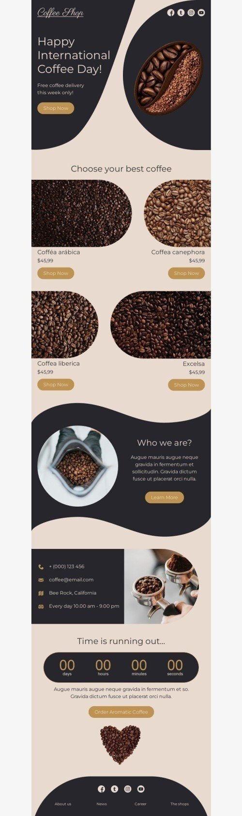 Choose your best coffee Email Template by Stripo.email