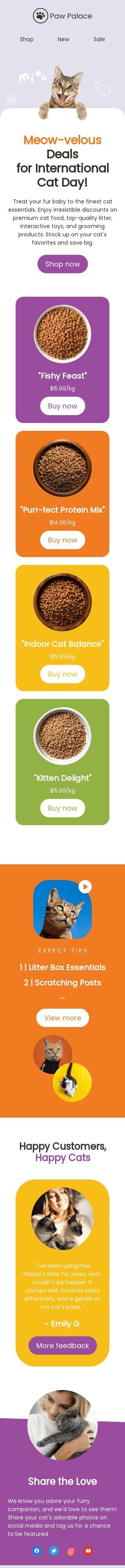 Happy cat Email Template by Stripo.email