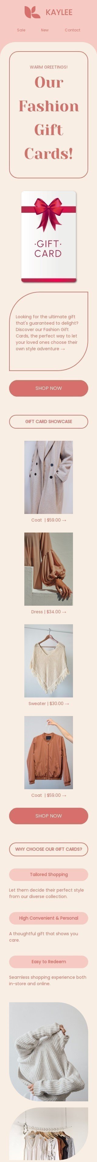 Our fashion gift cards Email Template by Stripo.email