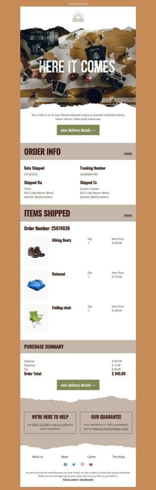 29 Delivery Email Templates 📭 | Free Delivery HTML Email Template ...