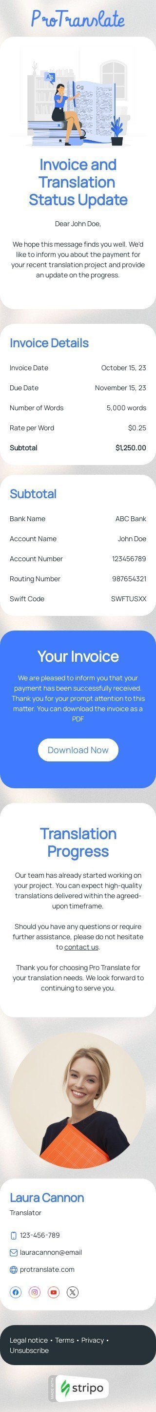 Translation progress Email Template by Stripo.email