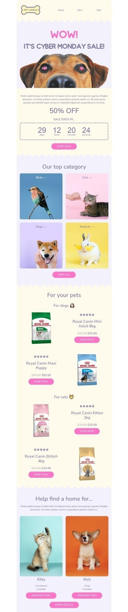 35 Pets Email Templates 📭 | Free Pets HTML Email Template — Stripo.email ️