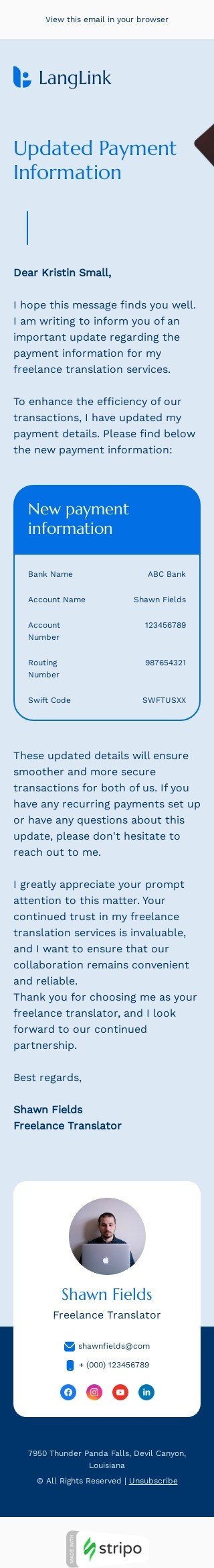 Payment information Email Template by Stripo.email