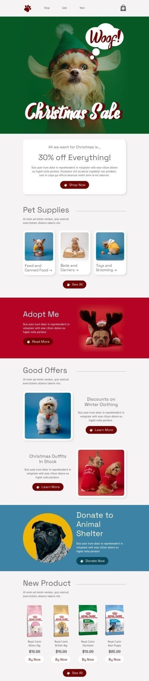 35 Pets Email Templates 📭 | Free Pets HTML Email Template — Stripo.email ️