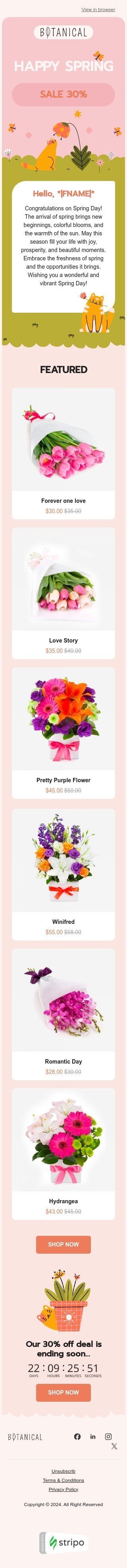 Spring flowers Email Template by :full_name — Stripo.email