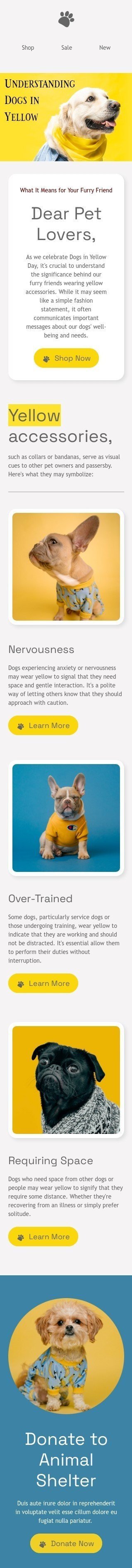 Understanding dogs in yellow Email Template by Stripo.email