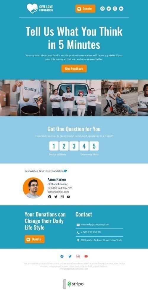 Survey emails Email Template by Stripo.email