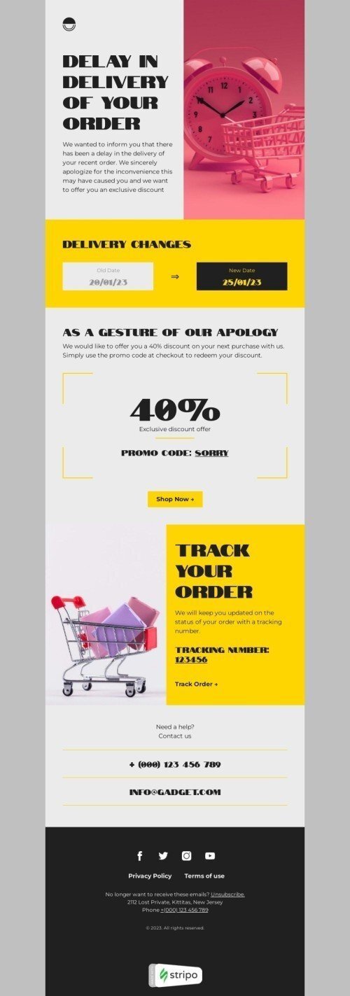 Exclusive discount offer Email Template by Stripo.email