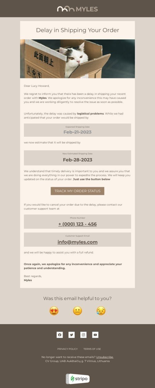 17 Brown Email Templates 📭 | Free Brown HTML Email Template — Stripo ...