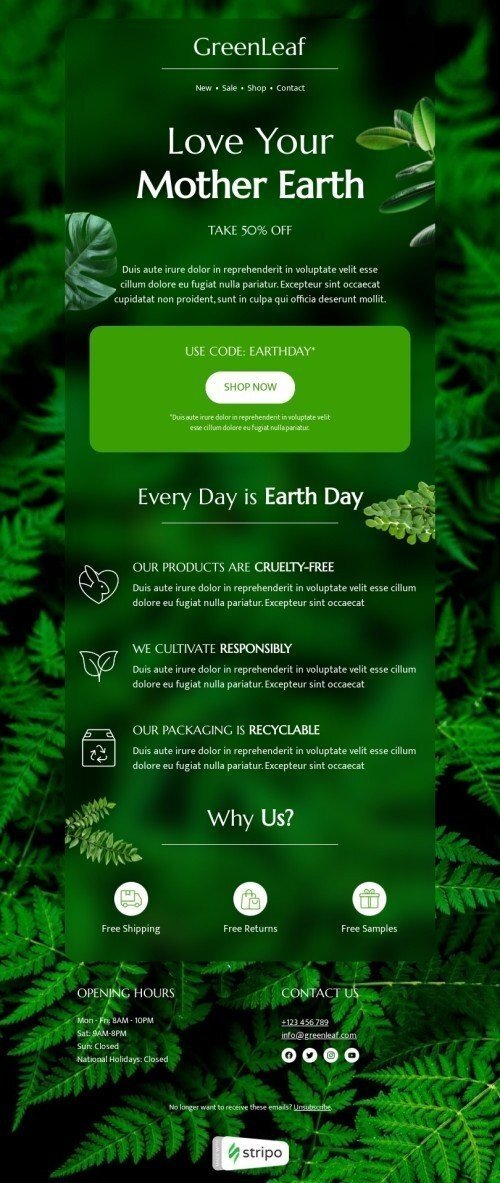 14 Green Email Templates 📭 | Free Green HTML Email Template — Stripo ...
