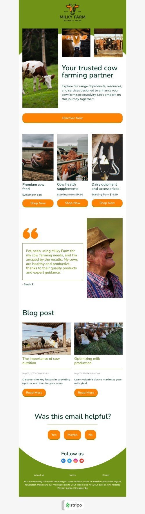 Your trusted cow farming partner Email Template by Stripo.email