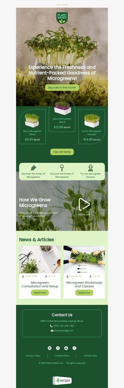 14 Green Email Templates 📭 | Free Green HTML Email Template — Stripo ...