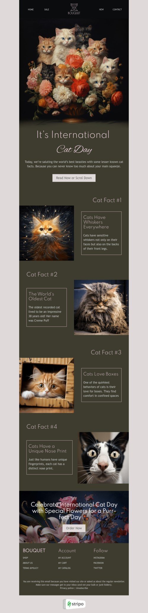 40 Gifts & Flowers Email Templates 📭 | Free Gifts & Flowers HTML Email ...