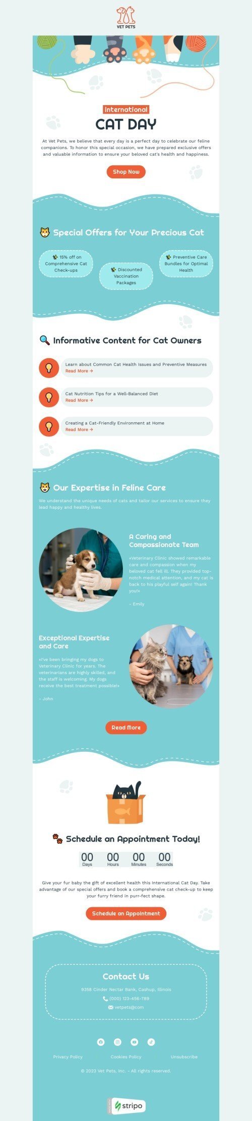 35 Pets Email Templates 📭 | Free Pets HTML Email Template — Stripo.email ️