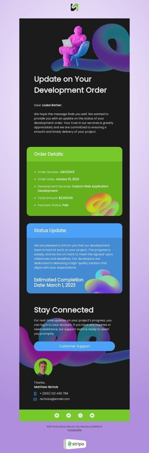 Development order Email Template by Stripo.email