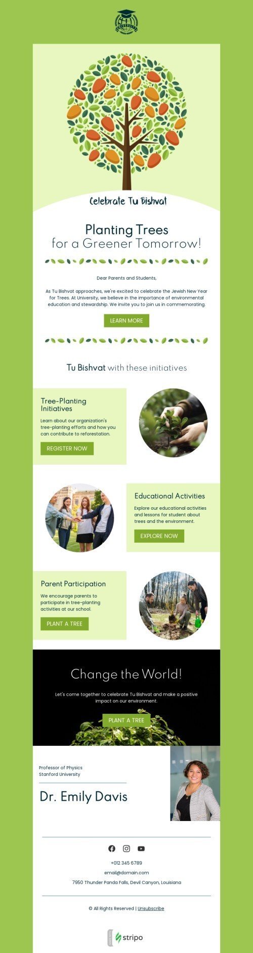 Planting trees Email Template by Stripo.email