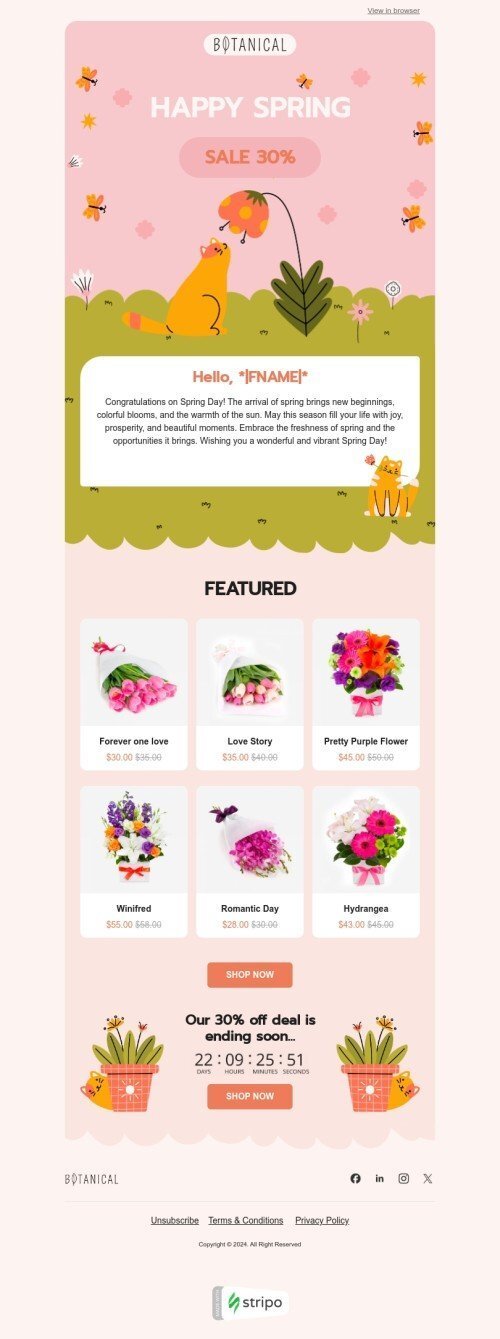 Spring flowers Email Template by :full_name — Stripo.email