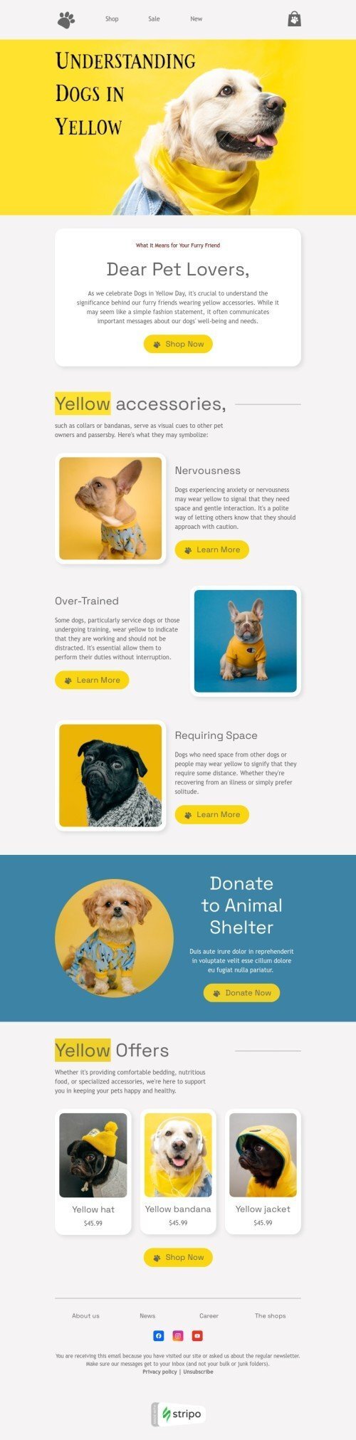 35 Pets Email Templates 📭 | Free Pets HTML Email Template — Stripo.email ️