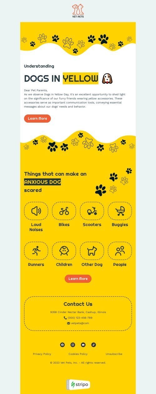 35 Pets Email Templates 📭 | Free Pets HTML Email Template — Stripo.email ️